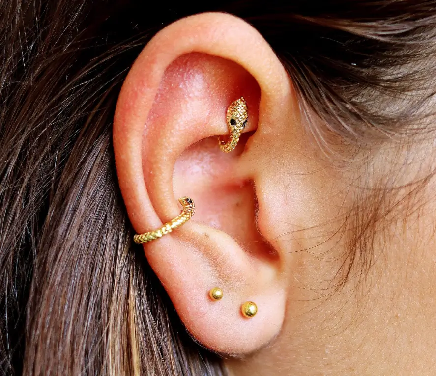 Beyond the Unique Benefits of Rook Piercing Jewelry Fashion - The Body ...