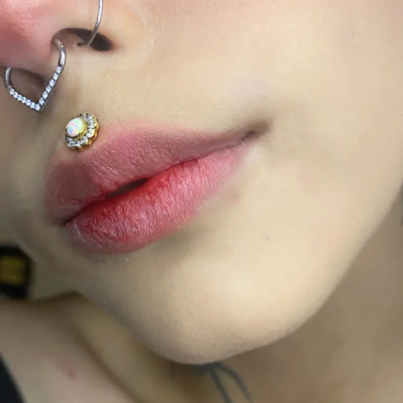 Elevate Your Style with the Perfect Vertical Labret Jewelry - The Body ...