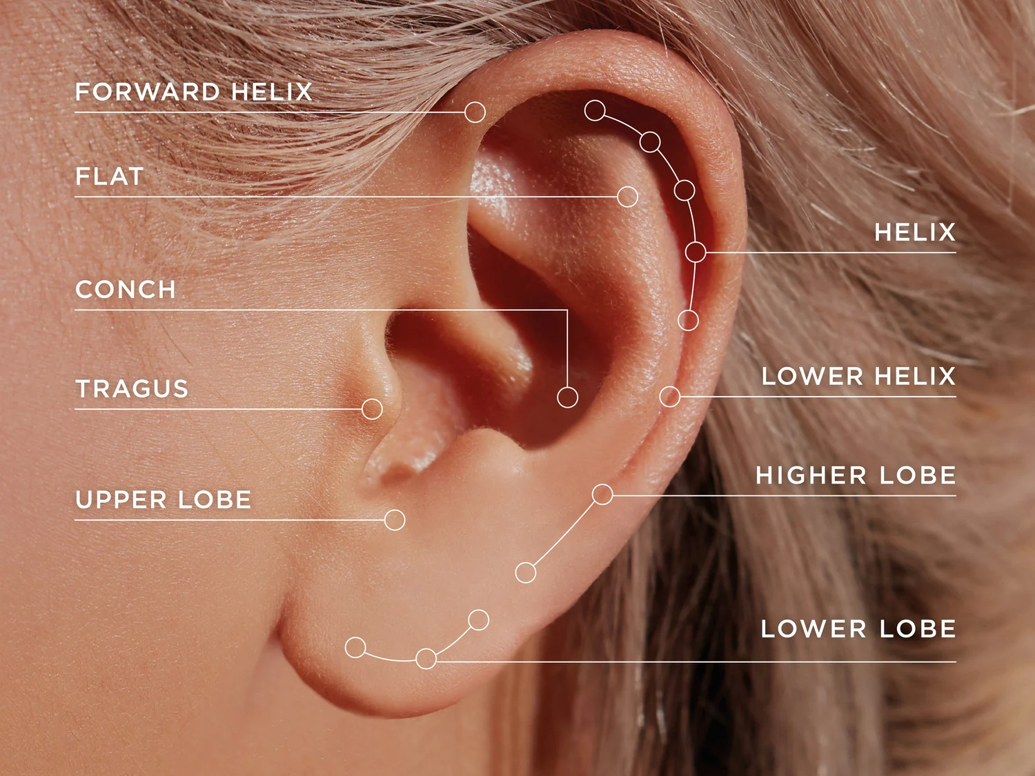 Why Ear Piercing Diagram is Essential for Your Piercing Journey - The ...